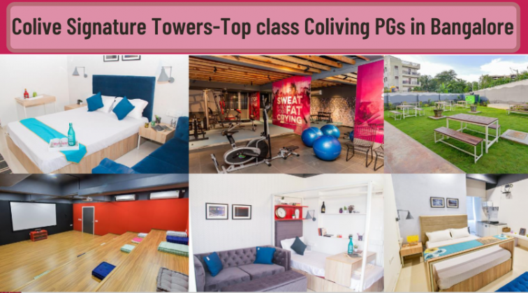 Colive Signature Towers-Top class Coliving PG in Bangalore - Blog - Colive
